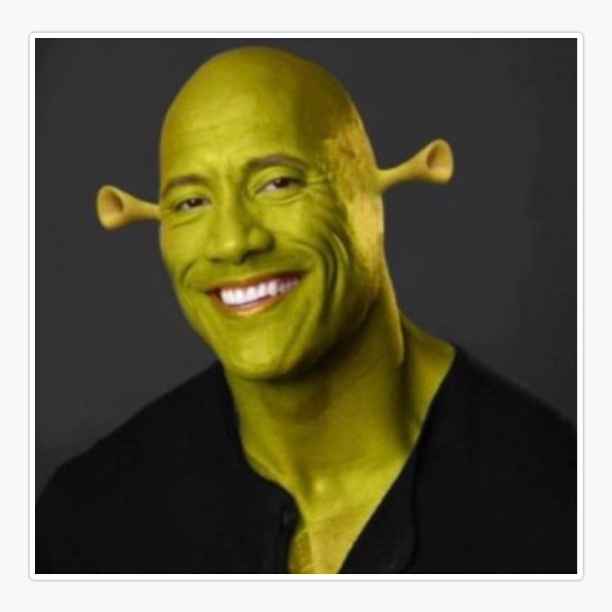 Onim Dwayne 'The Shrok" Johnson Sticker, Phone Decal Water Bottle ...