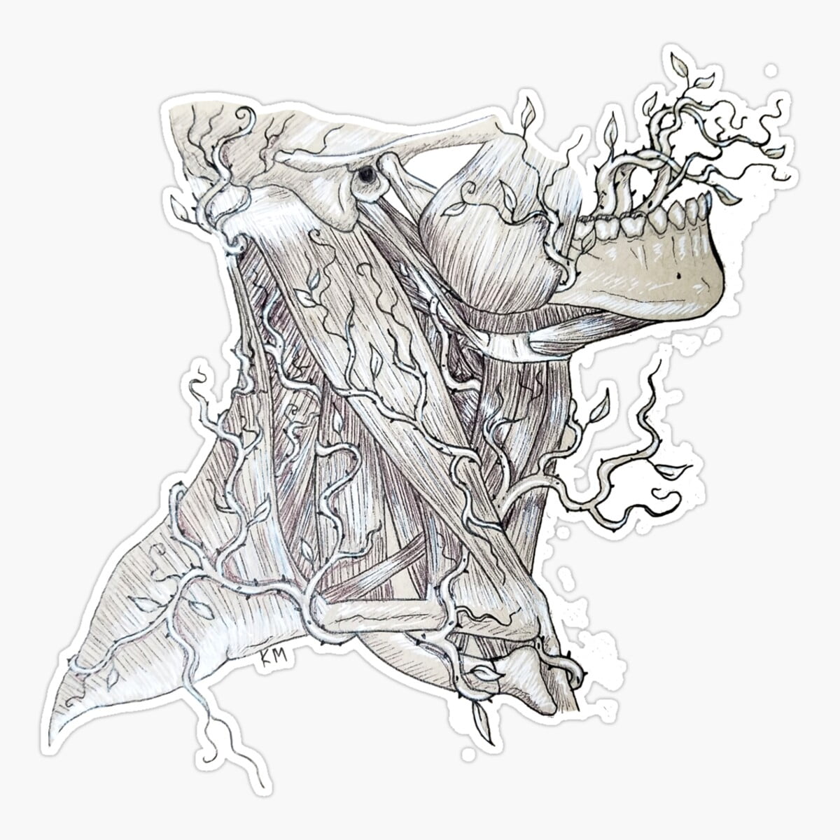 Onim Entwined | Botanical Head And Neck Anatomy Sticker, Phone Decal ...