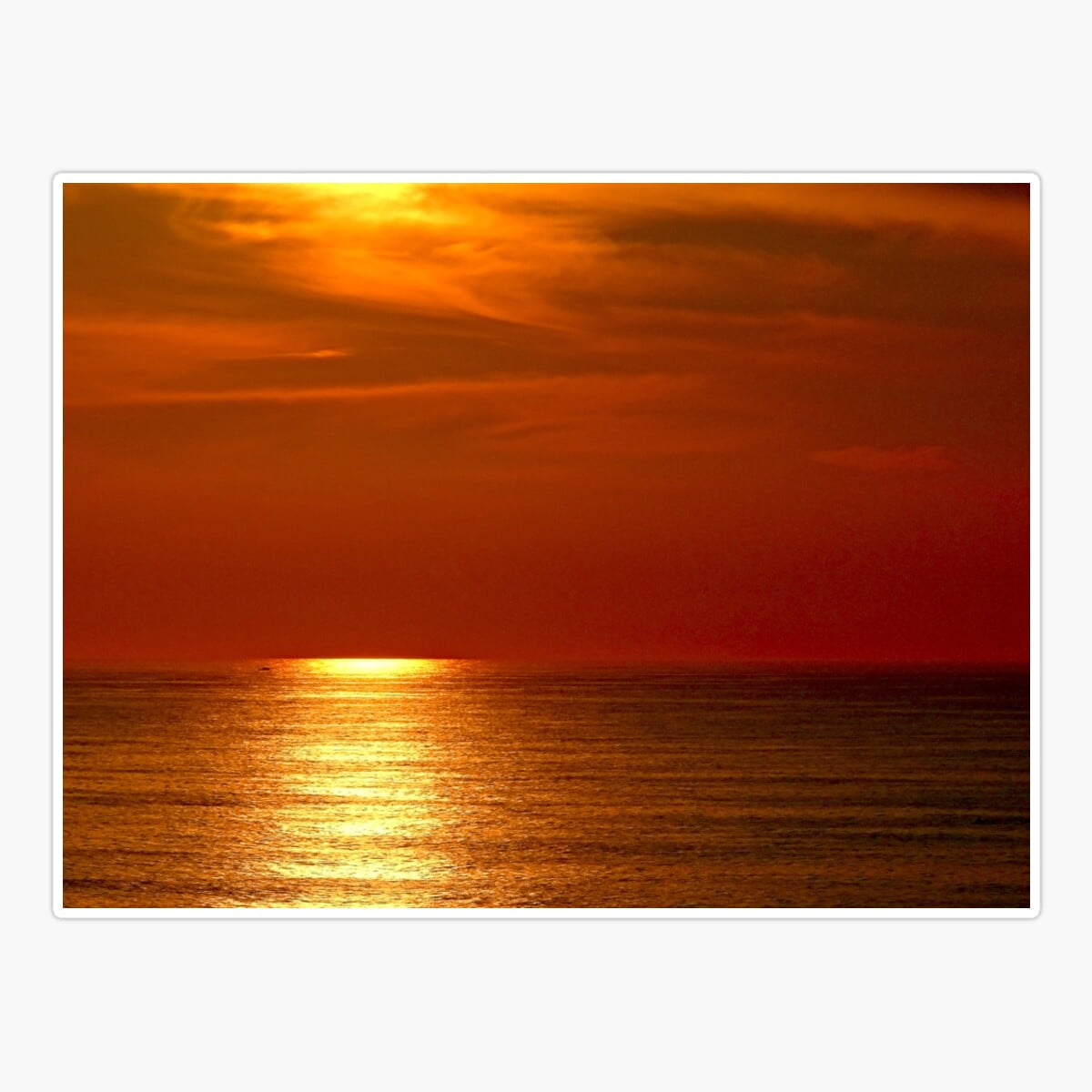 Onim Ericeira Paradise Sticker, Phone Decal Water Bottle Stickers Car ...