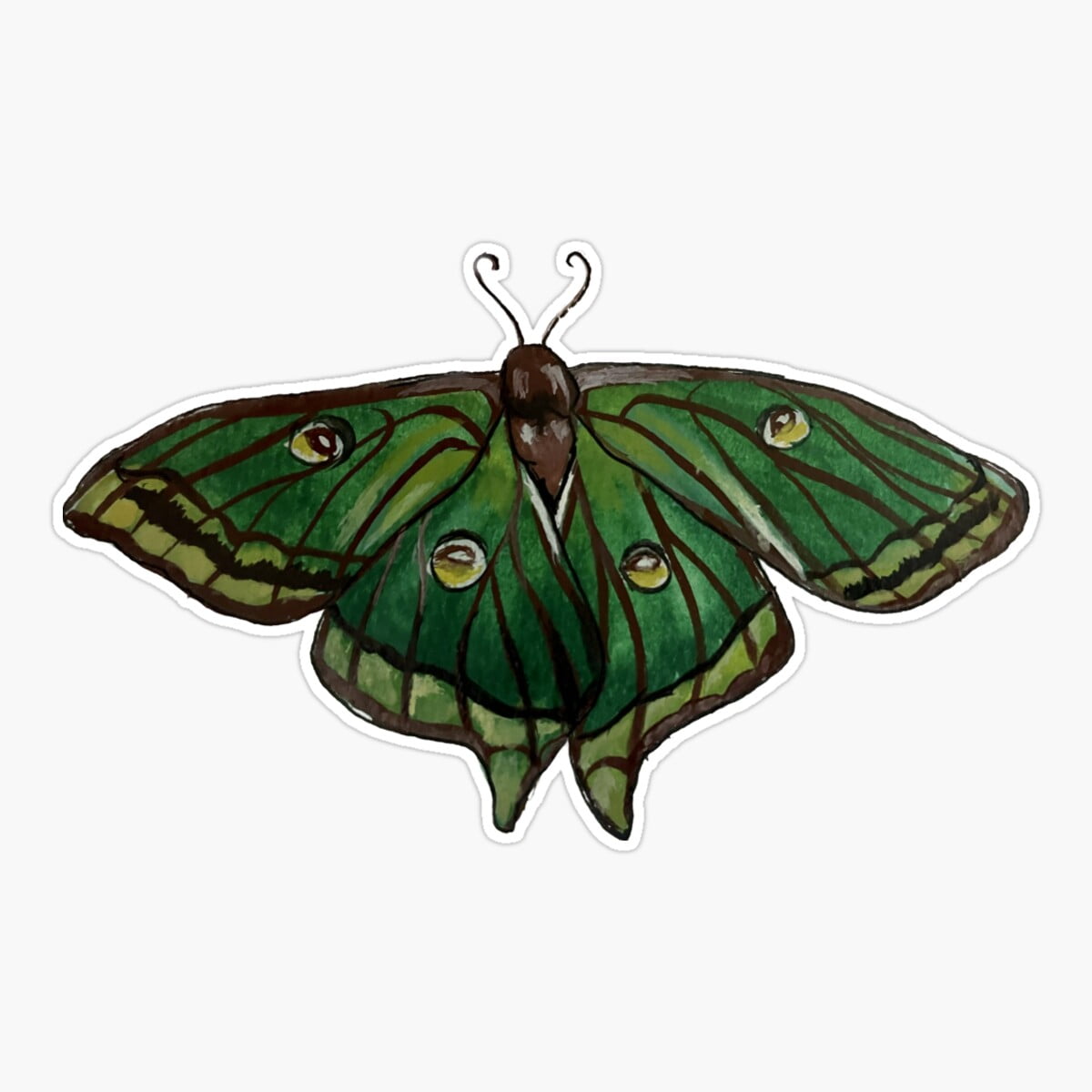 Onim Ethereal Moth Watercolor Sticker, Phone Decal Water Bottle ...