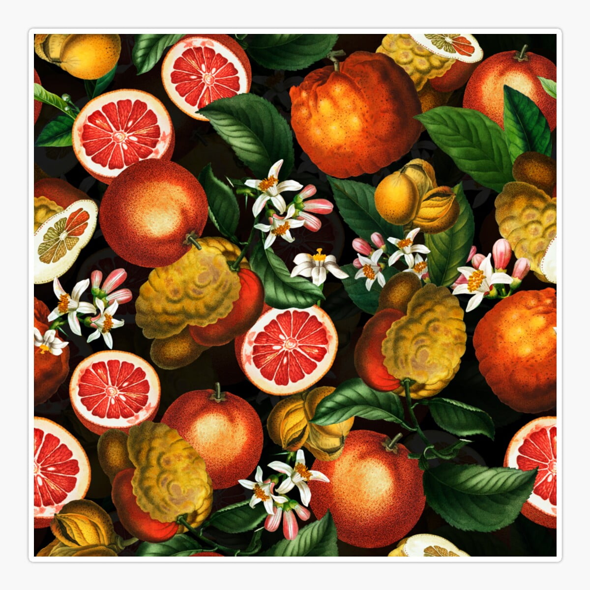 Onim Exotic Vintage Citrus Garden Pattern - Black Nightgarden Sticker ...