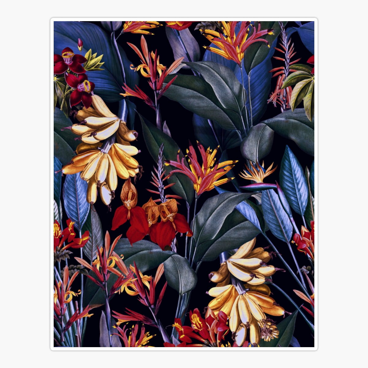 Onim Exotic Vintage Midnight Botanical Night Garden Jungle Pattern Cinema Effect Nightgarden ...