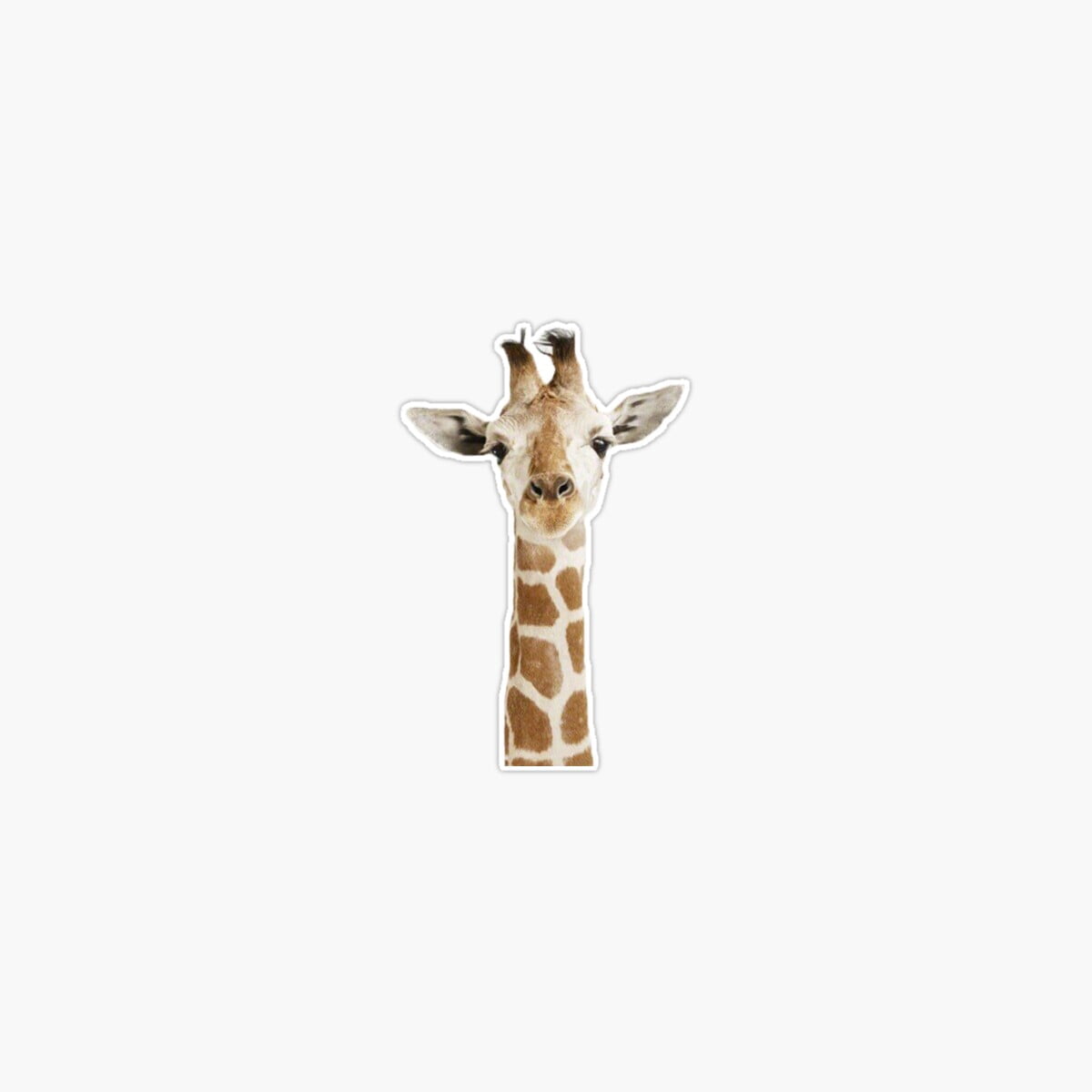Onim Fabulous Giraffe Sticker, Phone Decal Water Bottle Stickers Car ...