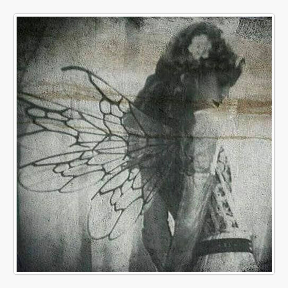 Onim Fae Sticker, Phone Decal Water Bottle Stickers Car Decals, Funny ...