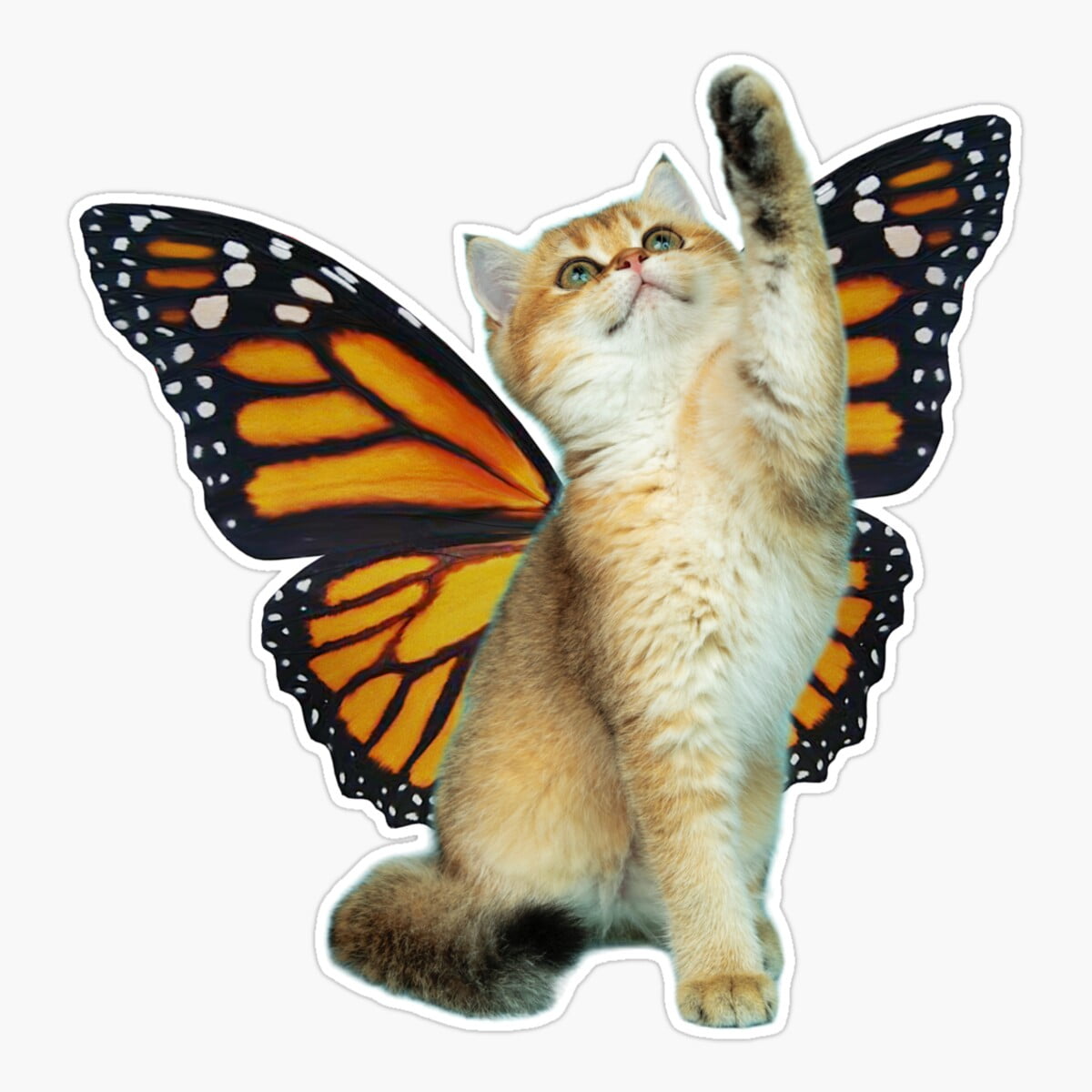Onim Fairy Cat - Orange Tabby Monarch Butterfly Cottagecore Sticker ...