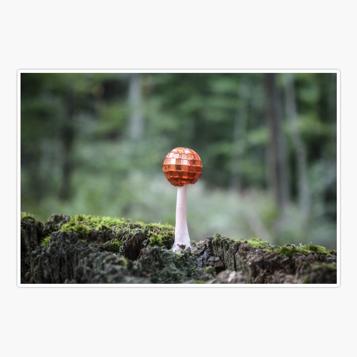 Onim Fictional Mycology: Dance Floor Disco Bug, Mushroom. Fairycore On ...