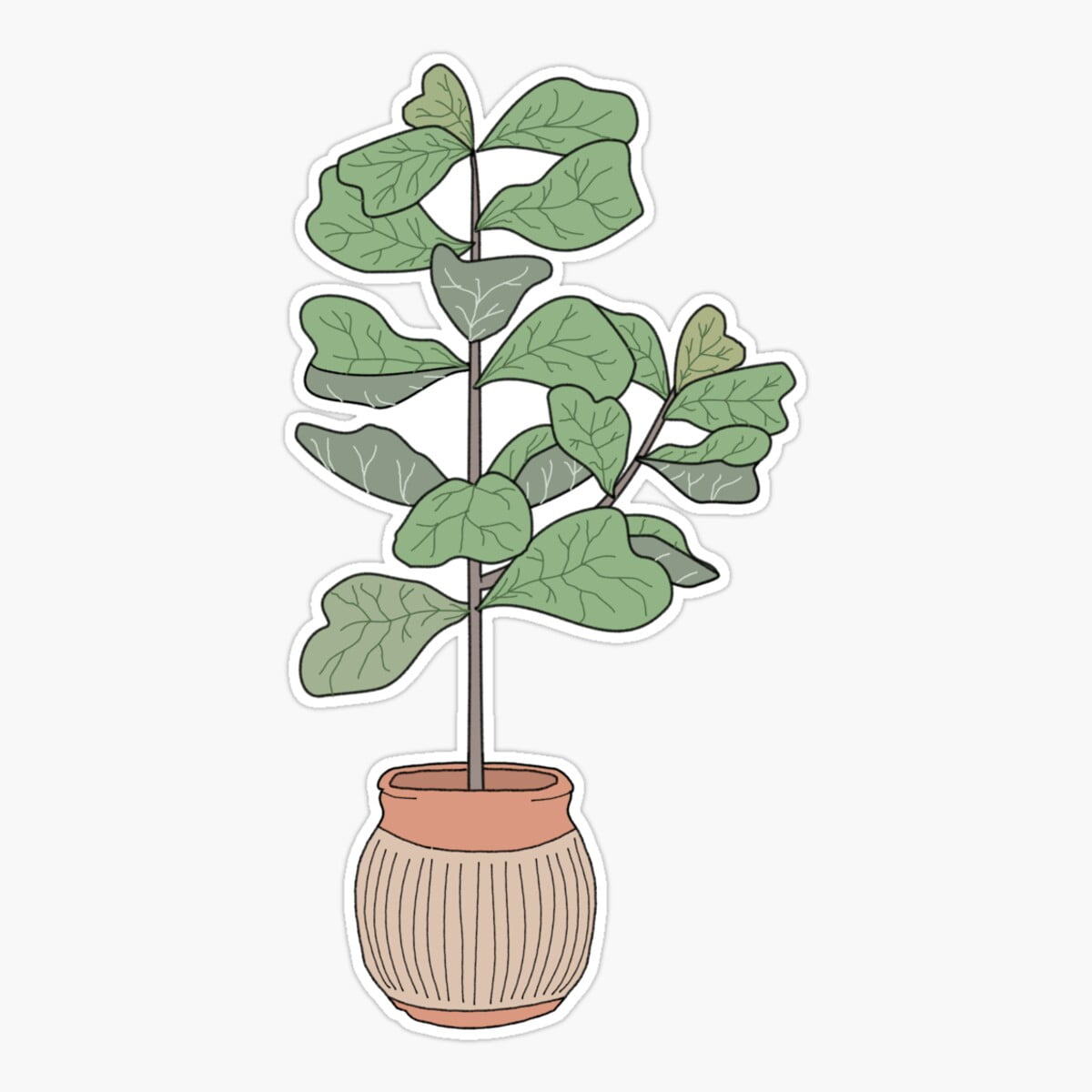 Onim Ficus Lyrata (Fiddle Leaf Fig) Sticker, Phone Decal Water Bottle ...