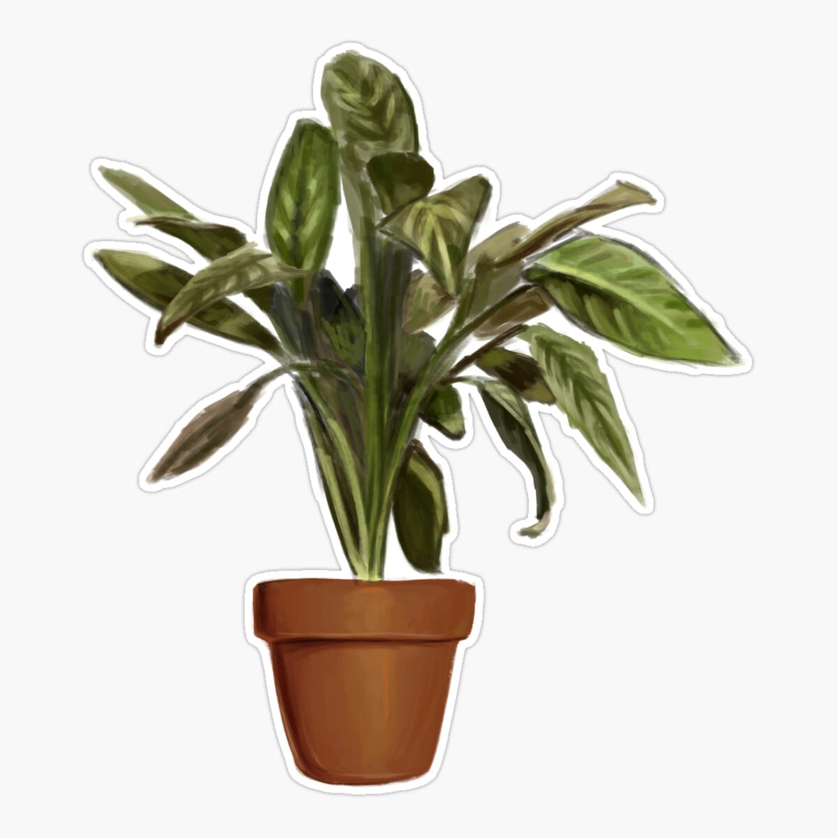 Onim Ficus Sticker, Phone Decal Water Bottle Stickers Car Decals, Funny ...