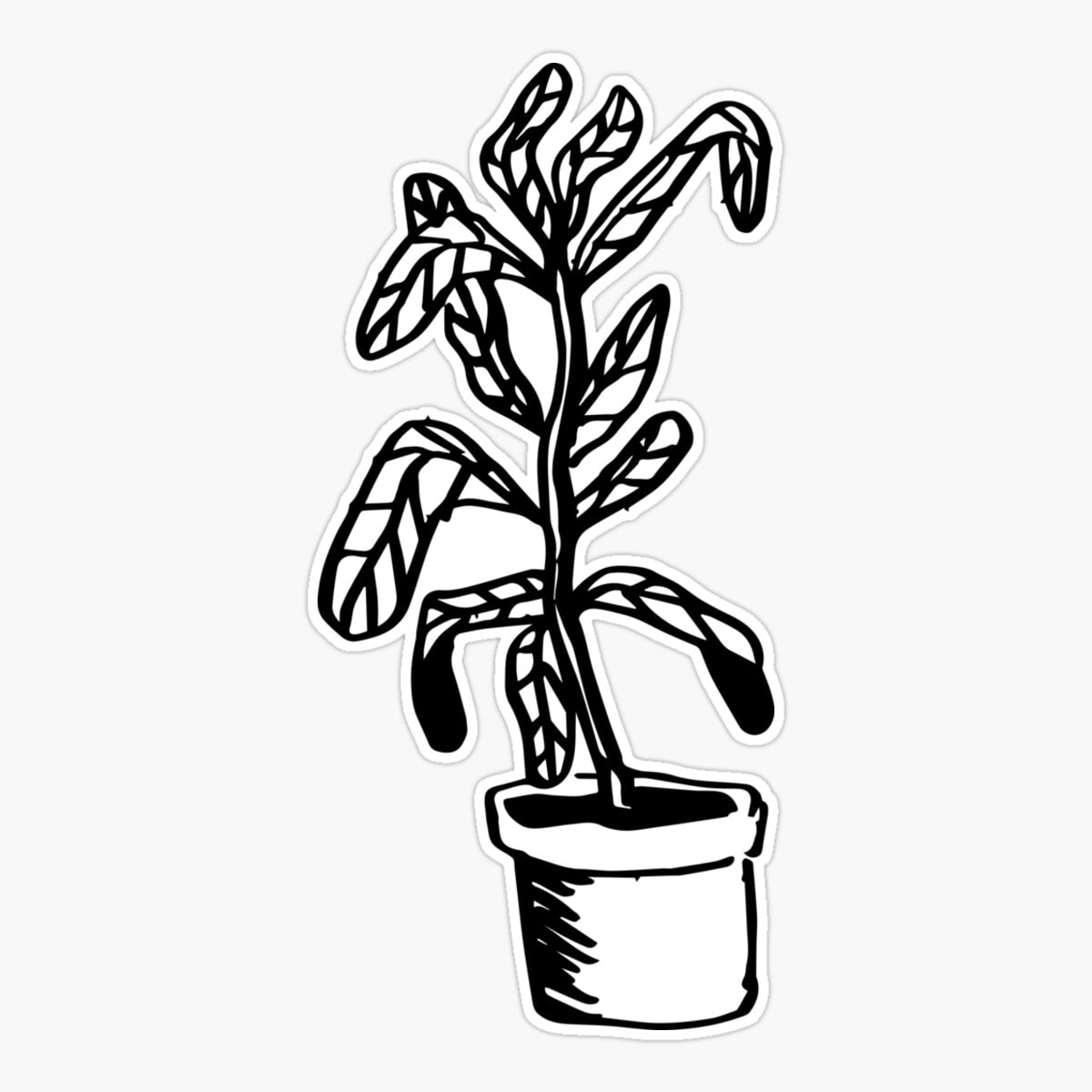 Onim Fiddle Leaf Fig Sticker, Phone Decal Water Bottle Stickers Car ...