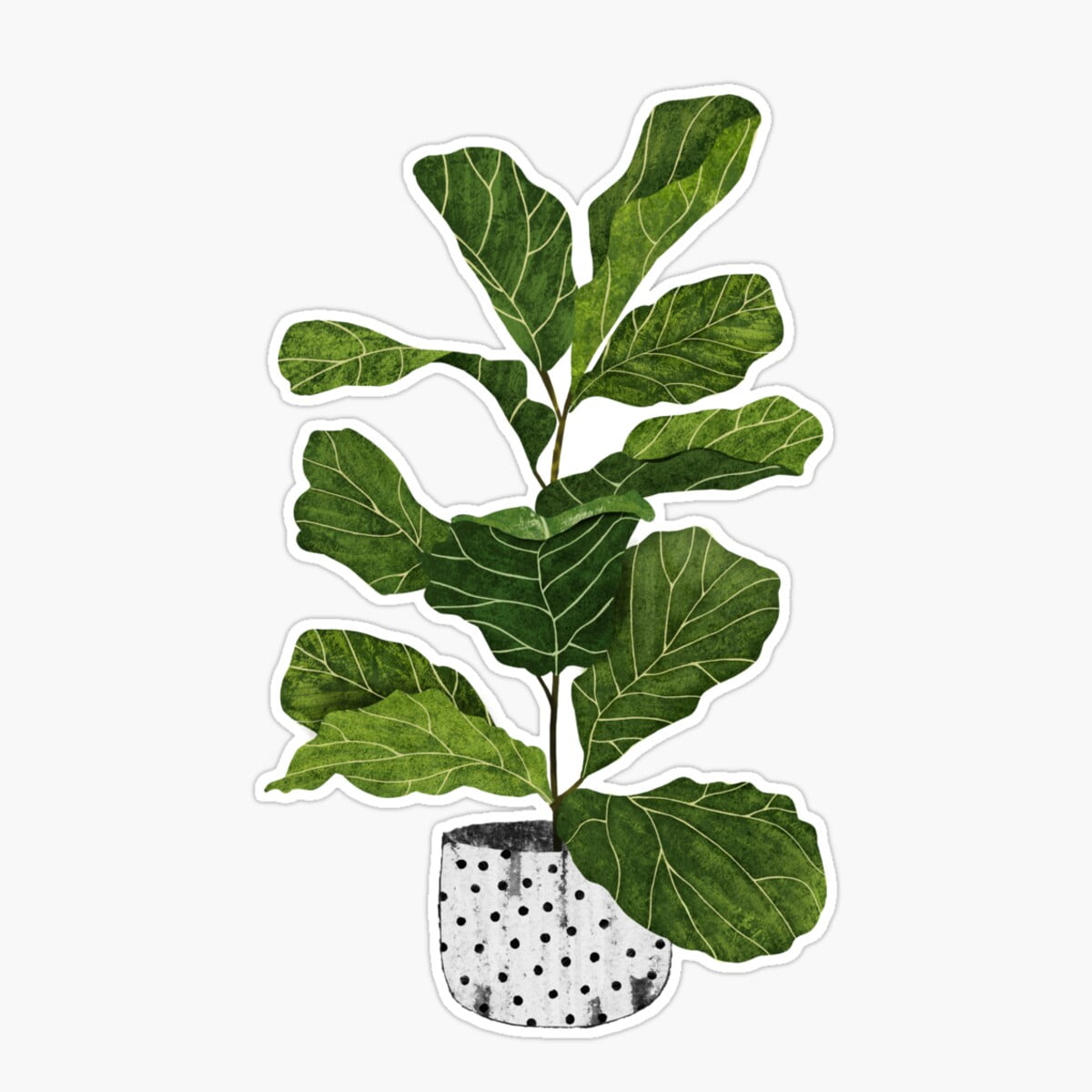 Onim Fiddle Leaf Fig Tree Interior Plant Sticker, Phone Decal Water ...