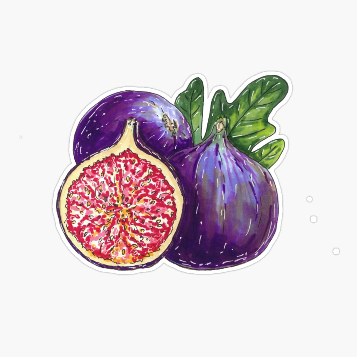 Onim Fig Fruit Print Sticker, Phone Decal Water Bottle Stickers Car ...