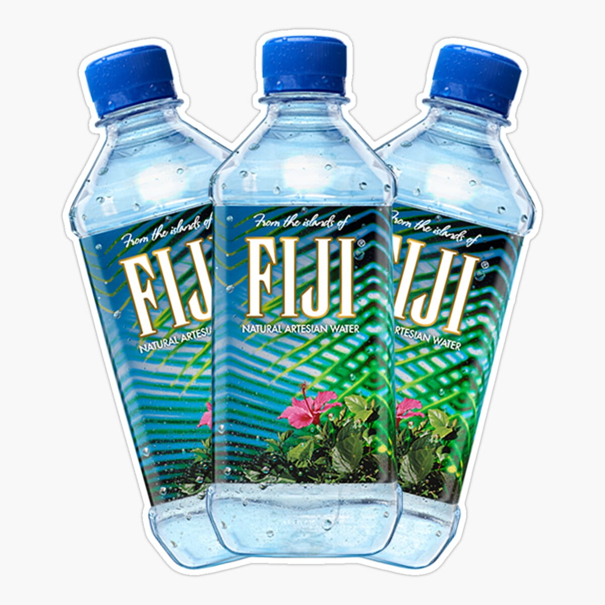 Onim Fiji Water Bottles Sticker, Phone Decal Water Bottle Stickers Car ...