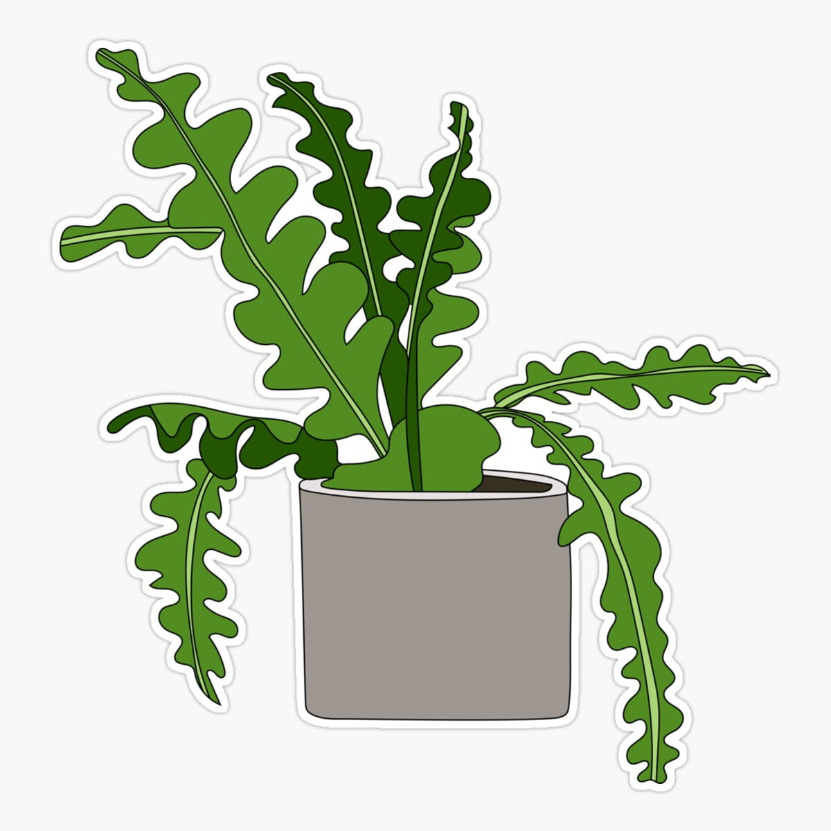 Onim Fishbone Cactus Illustration Sticker, Phone Decal Water Bottle ...