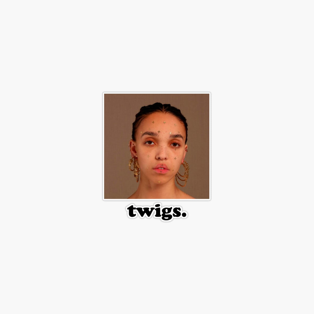 Onim Fka Twigs Sticker, Phone Decal Water Bottle Stickers Car Decals, Funny Birthday Gift ...