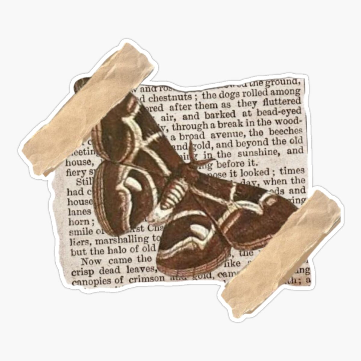 Onim Flew Like A Moth To You Sunlight-Dark Academia Design Sticker, Phone Decal Water Bottle ...