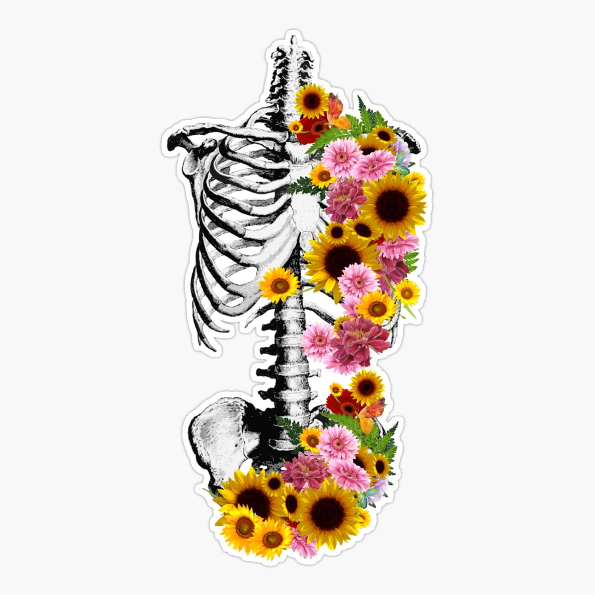 Onim Floral Botanical Anatomy, Rib Cage, Pelvis, Sunflowers, Daisy ...
