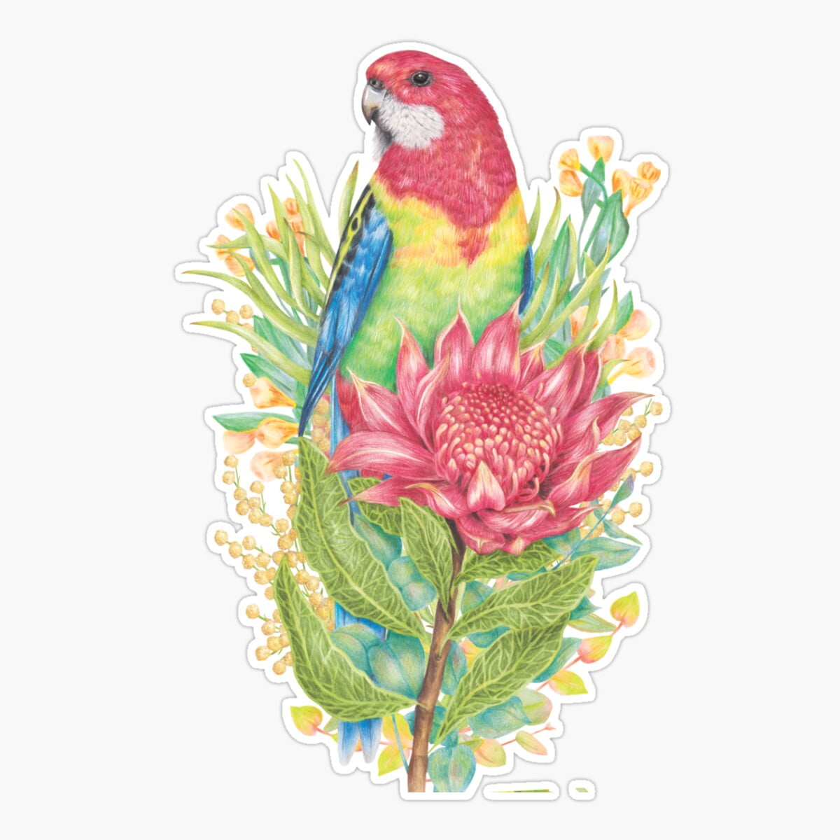 Onim Floral Eastern Rosella Sticker, Phone Decal Water Bottle Stickers ...