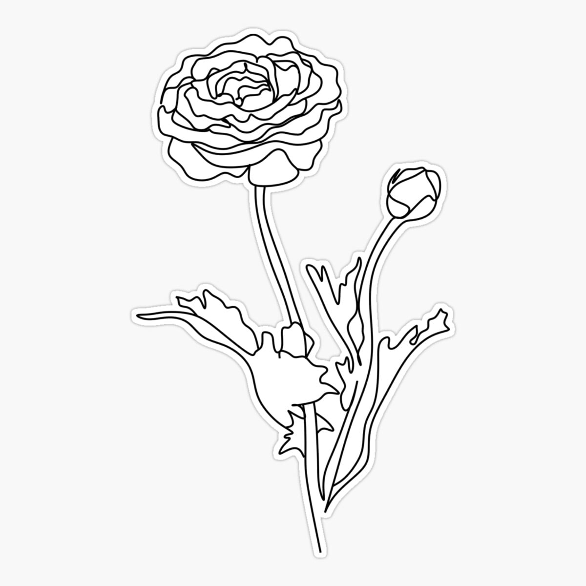 Onim Floral Nature Line Drawing. Flower Line Illustration. Line Art ...