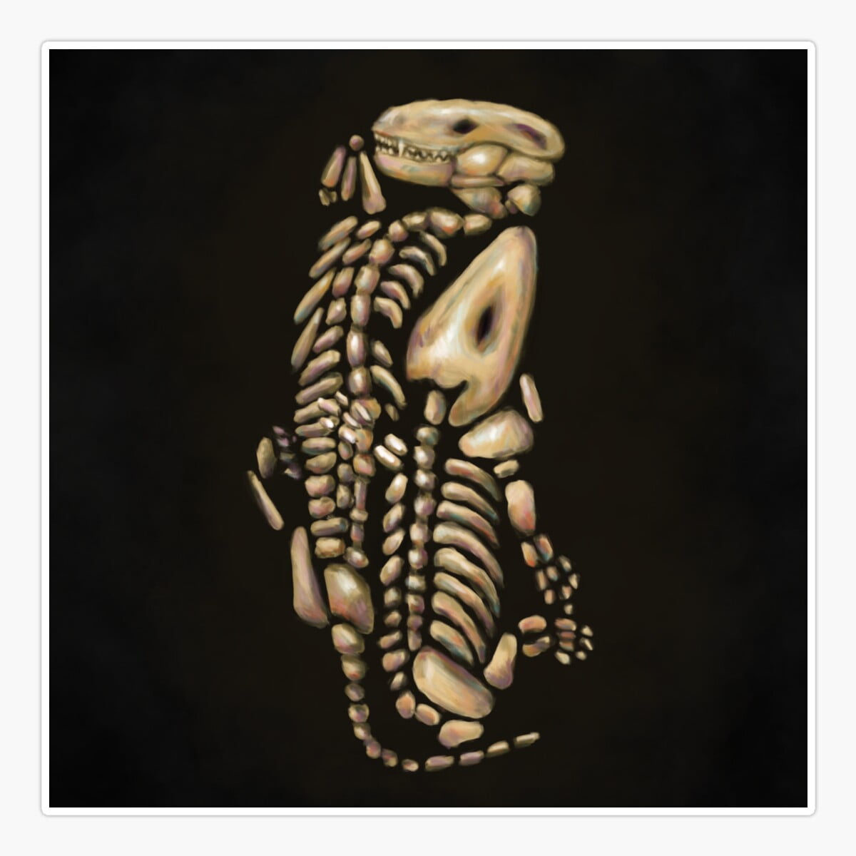 Onim Flower Ball Python! Sticker, Phone Decal Water Bottle Stickers Car ...