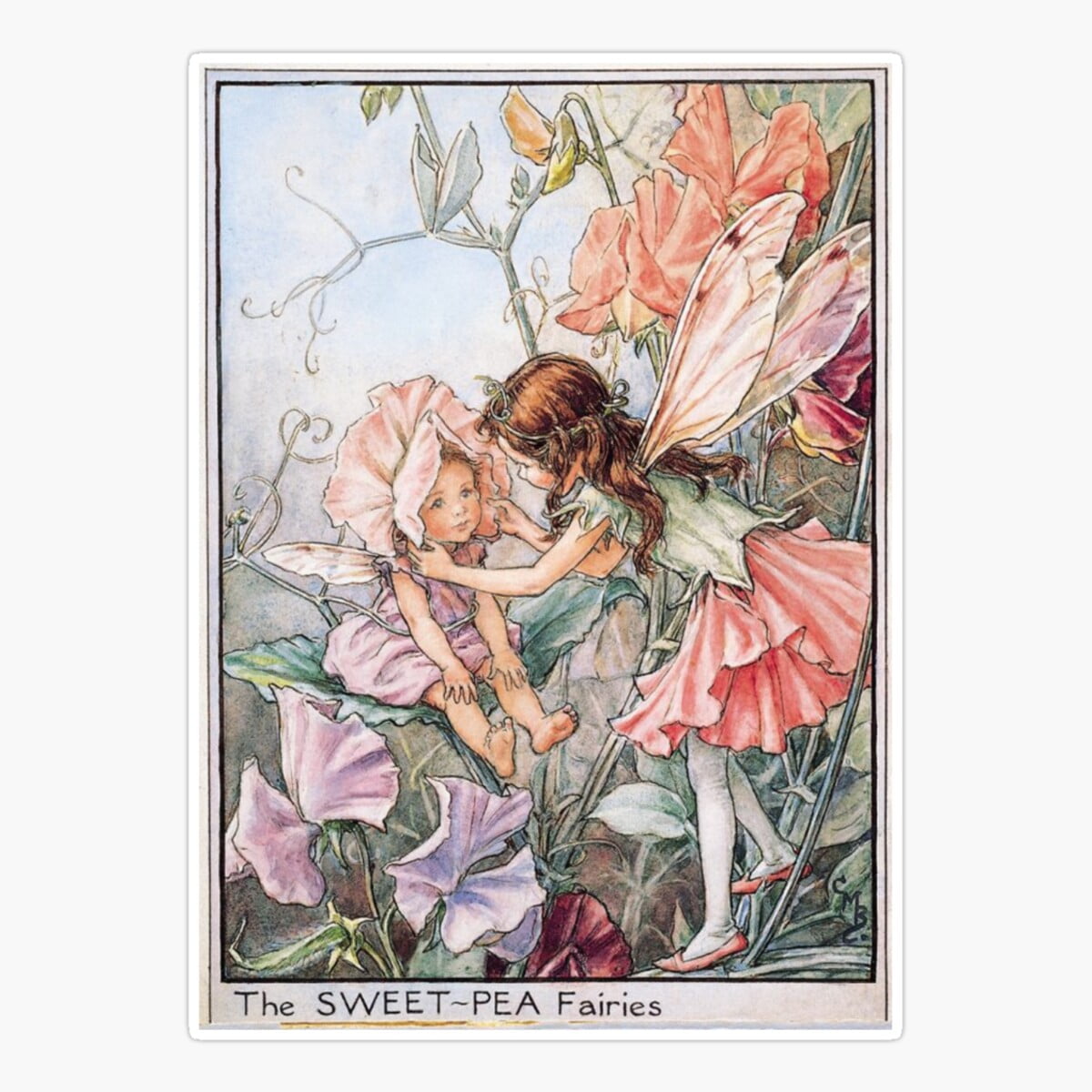 Onim Flower Fairies Sweet Pea Sticker, Phone Decal Water Bottle ...