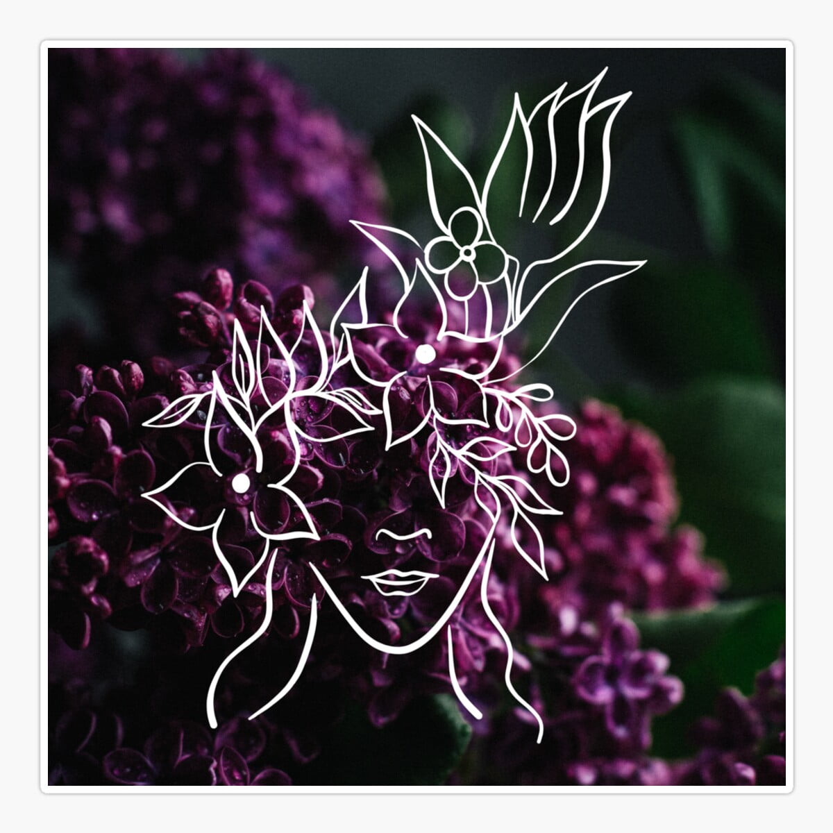 Onim Flower Goddess And Lilac Dark Botanical Sticker, Phone Decal Water ...