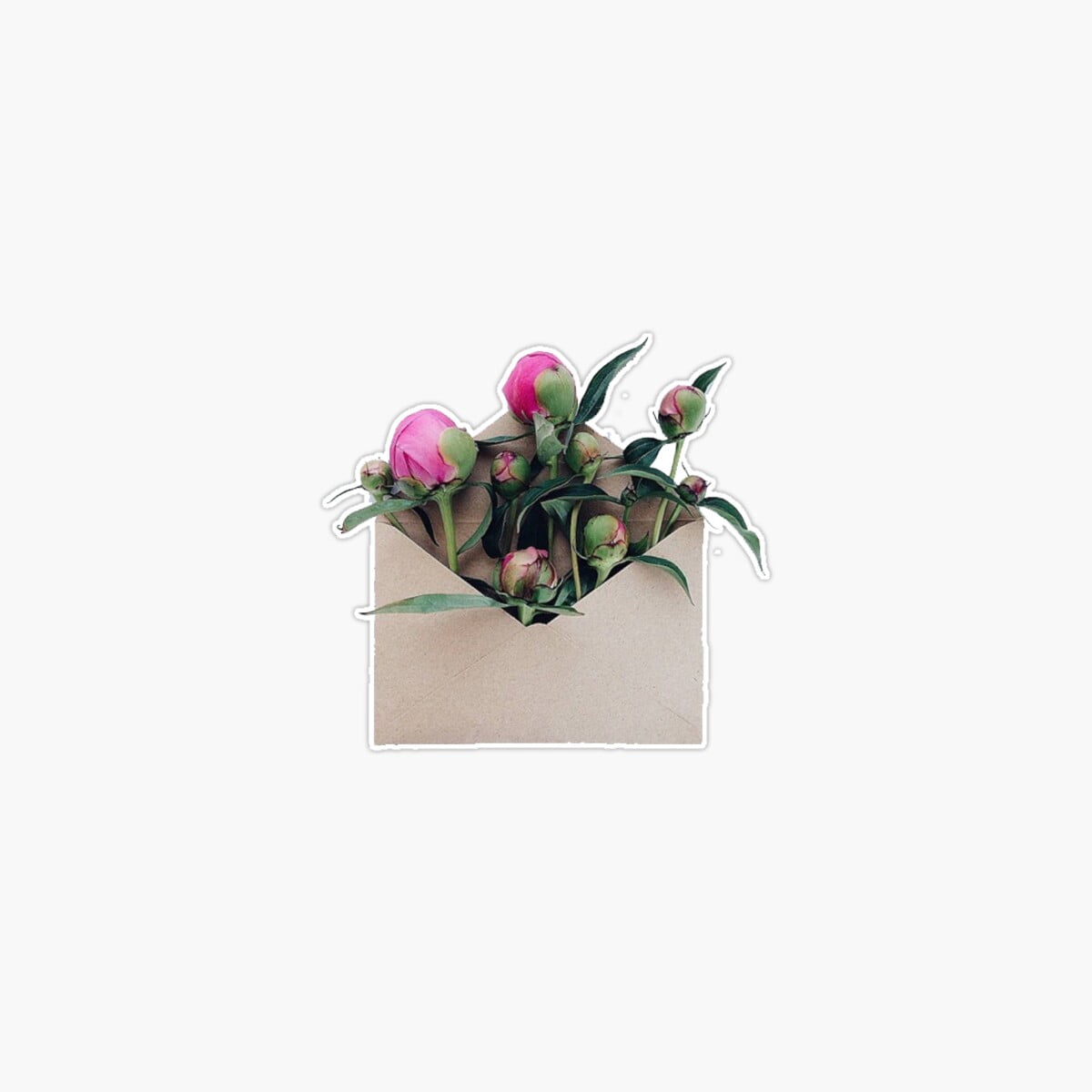 Onim Flowers In Envelopes Sticker, Phone Decal Water Bottle Stickers ...