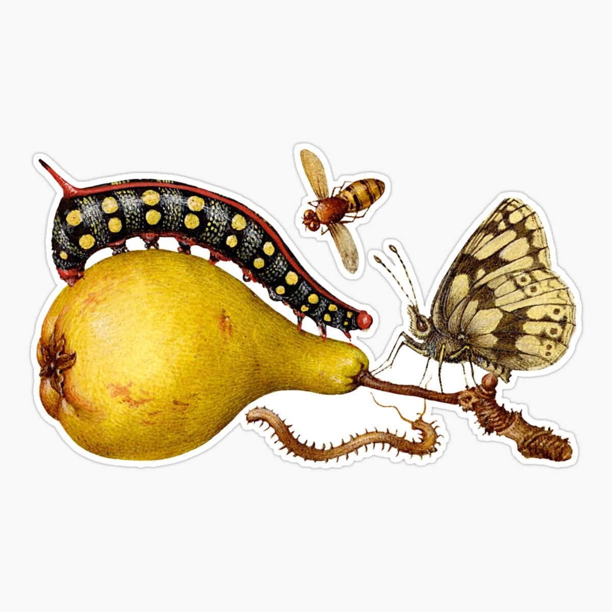 Onim Fly, Caterpillar, Pear, And Centipede Sticker, Phone Decal Water ...