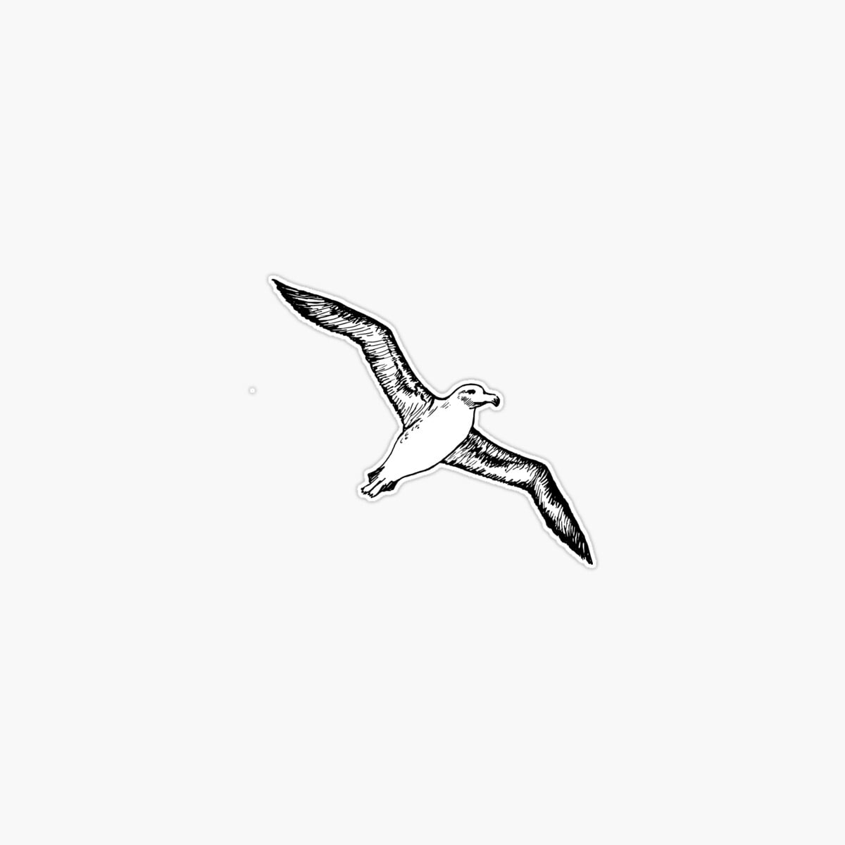 Onim Flying Albatross Sticker, Phone Decal Water Bottle Stickers Car ...