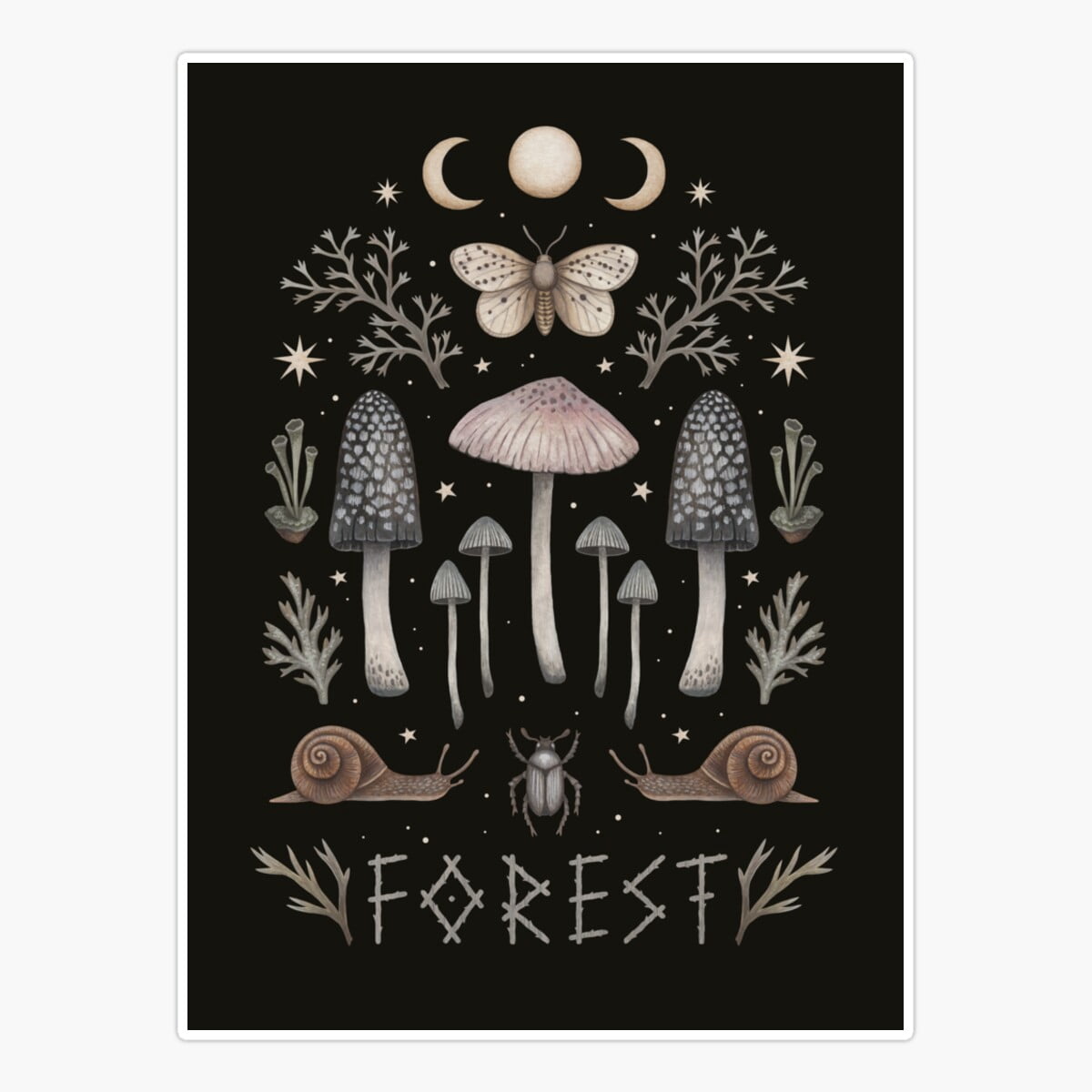 Onim Forest Anatomy No.1 Sticker, Phone Decal Water Bottle Stickers Car ...
