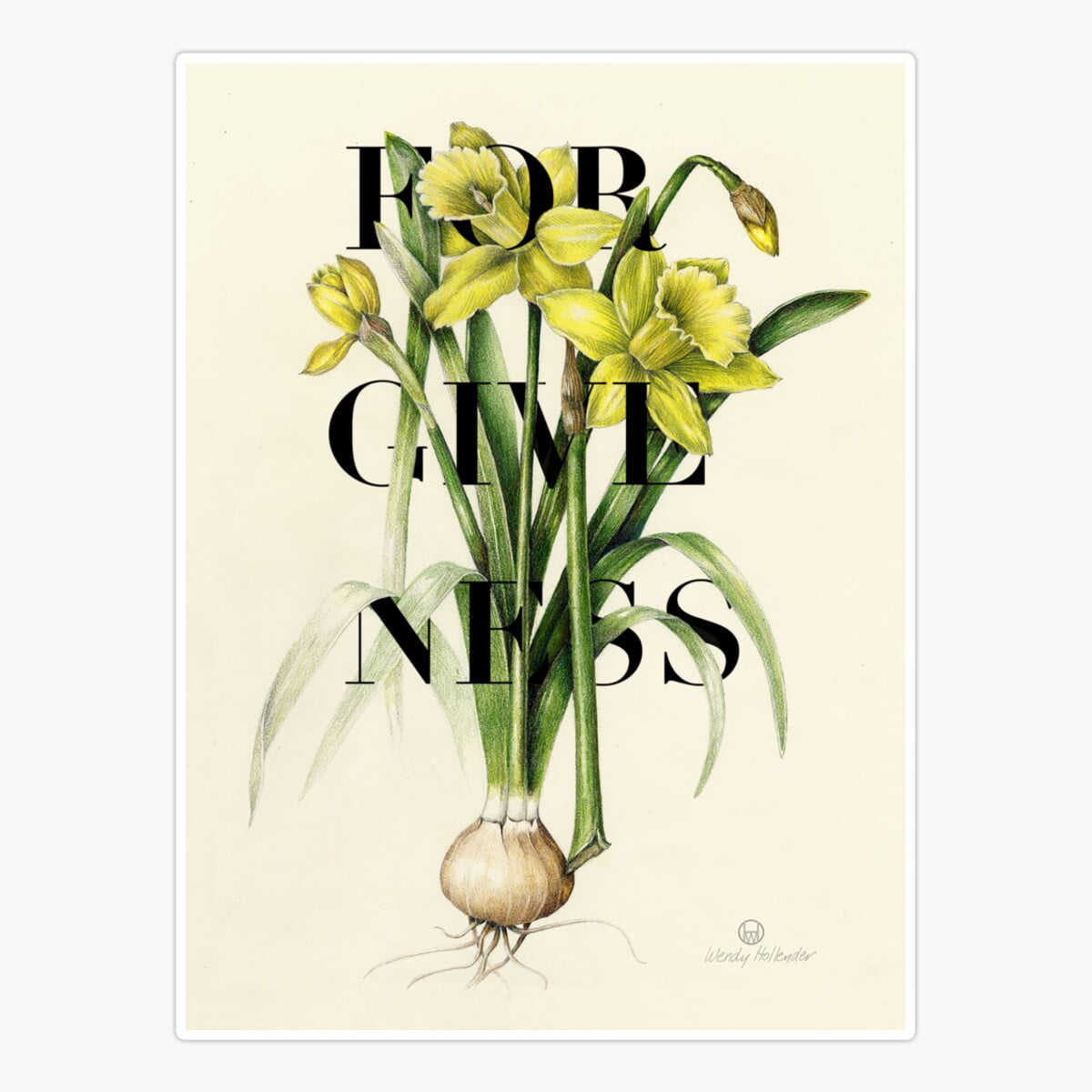 Onim Forgiveness - Daffodil Botanical Illustration Sticker, Phone Decal ...