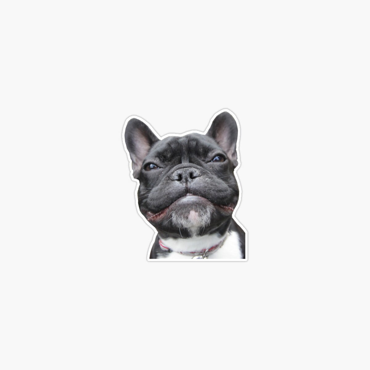 Onim Frenchie Smile Sticker, Phone Decal Water Bottle Stickers Car ...