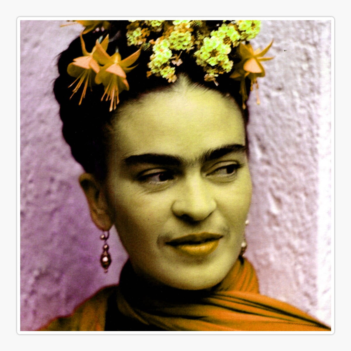 Onim Frida Pop Art Sticker, Phone Decal Water Bottle Stickers Car ...