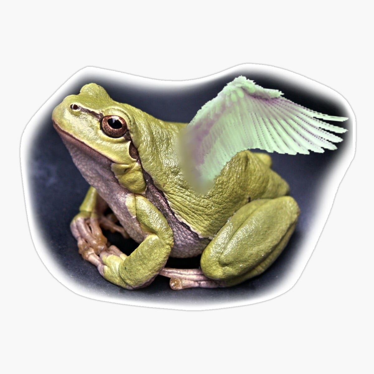 Onim Frog Angel Sticker, Phone Decal Water Bottle Stickers Car Decals, Funny Birthday Gift ...