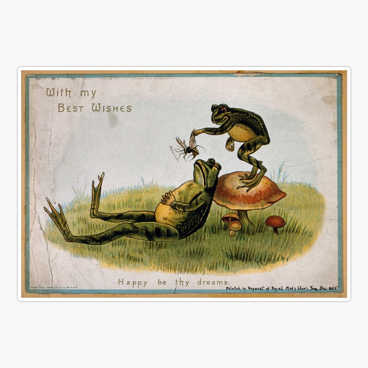 Onim Frog Mushroom Illustration Sticker, Phone Decal Water Bottle Stickers Car Decals, Funny ...