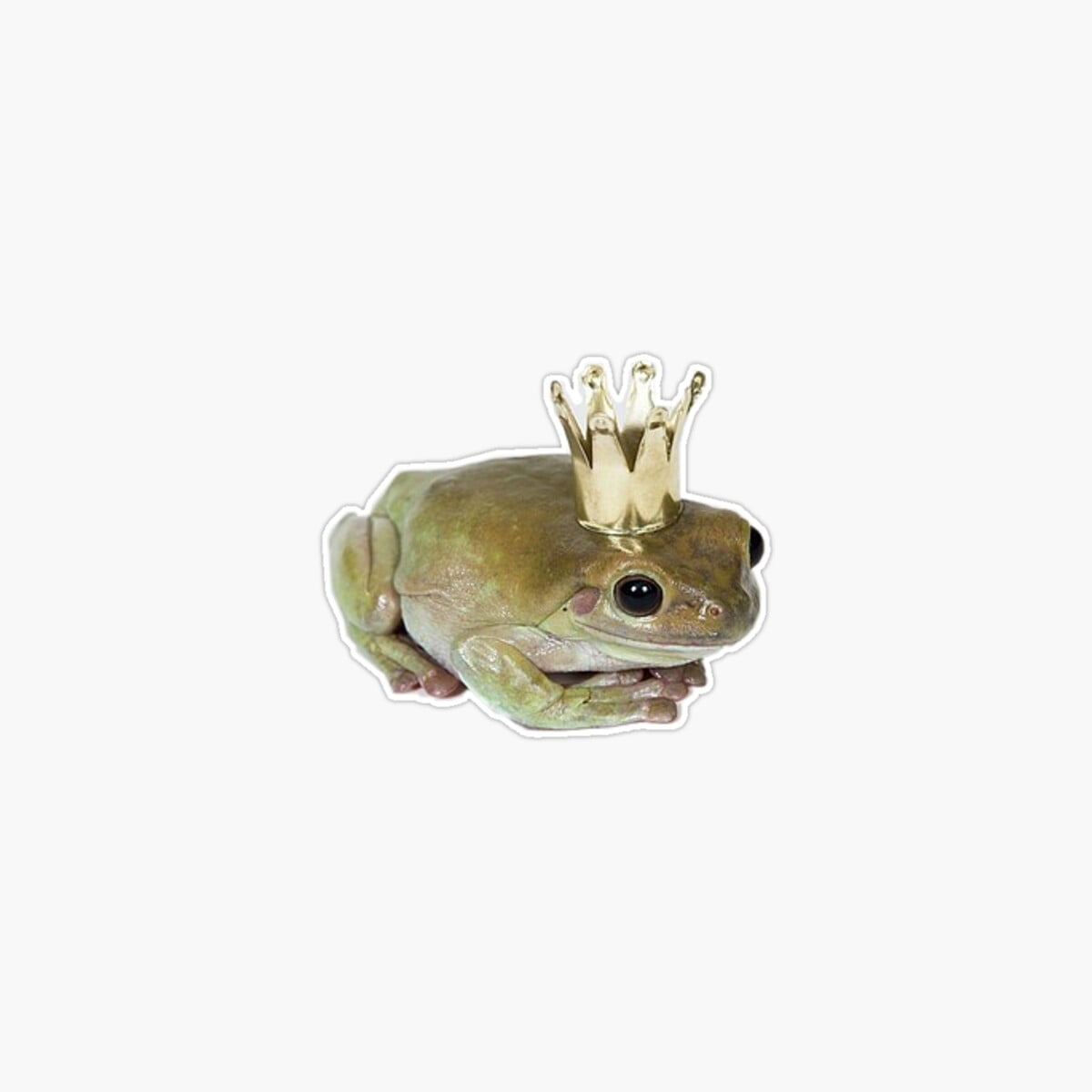 Onim Frog With A Crown Sticker, Phone Decal Water Bottle Stickers Car Decals, Funny Birthday ...