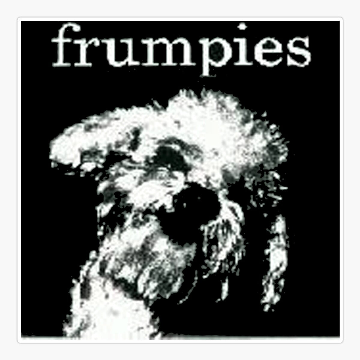 Onim Frumpies Riot Grrrl Punk Sticker, Phone Decal Water Bottle ...