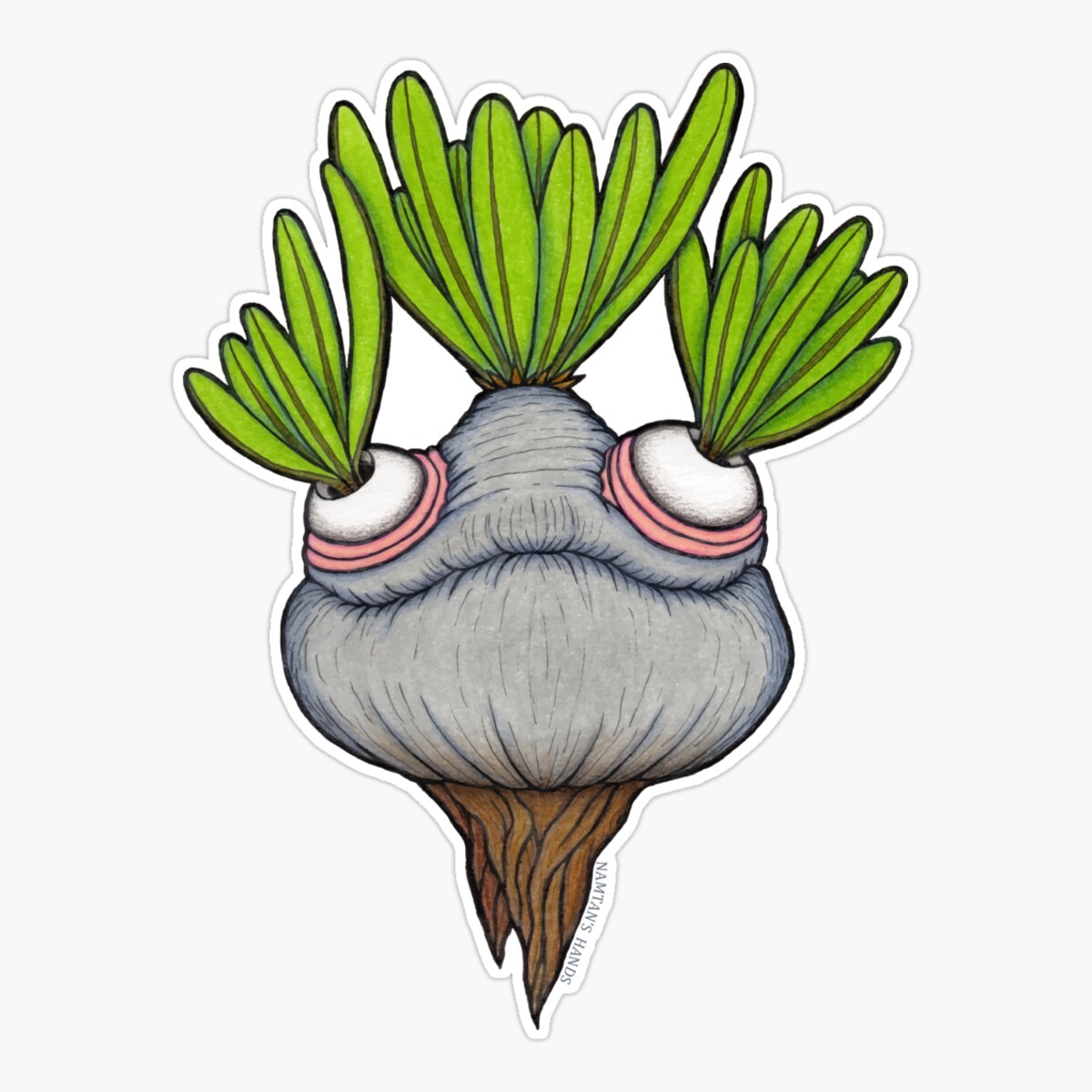 Onim Funky Eyes Pachypodium Caudex Sticker, Phone Decal Water Bottle ...