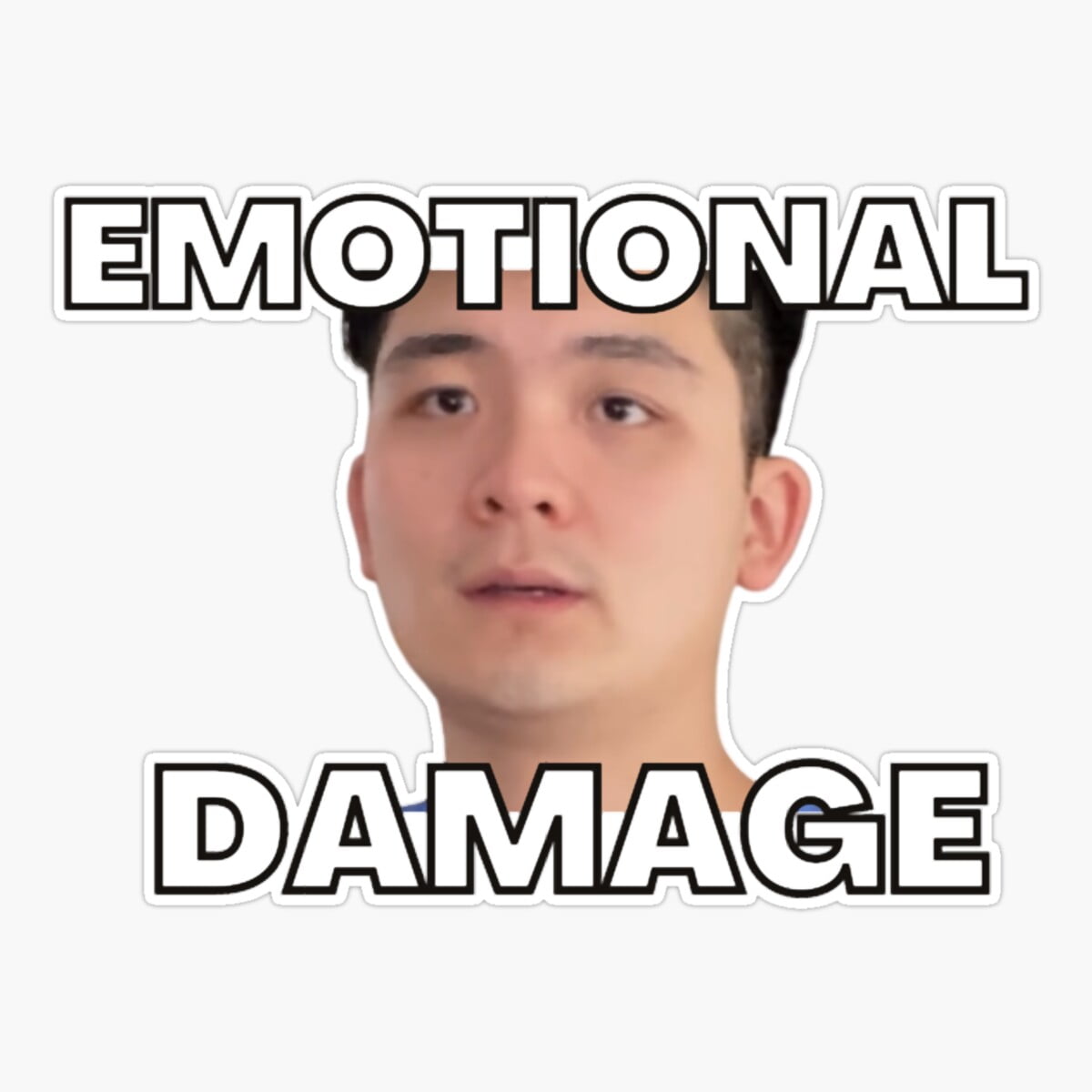 Onim Funny Emotional Damage Youtuber(2) Sticker, Phone Decal Water ...