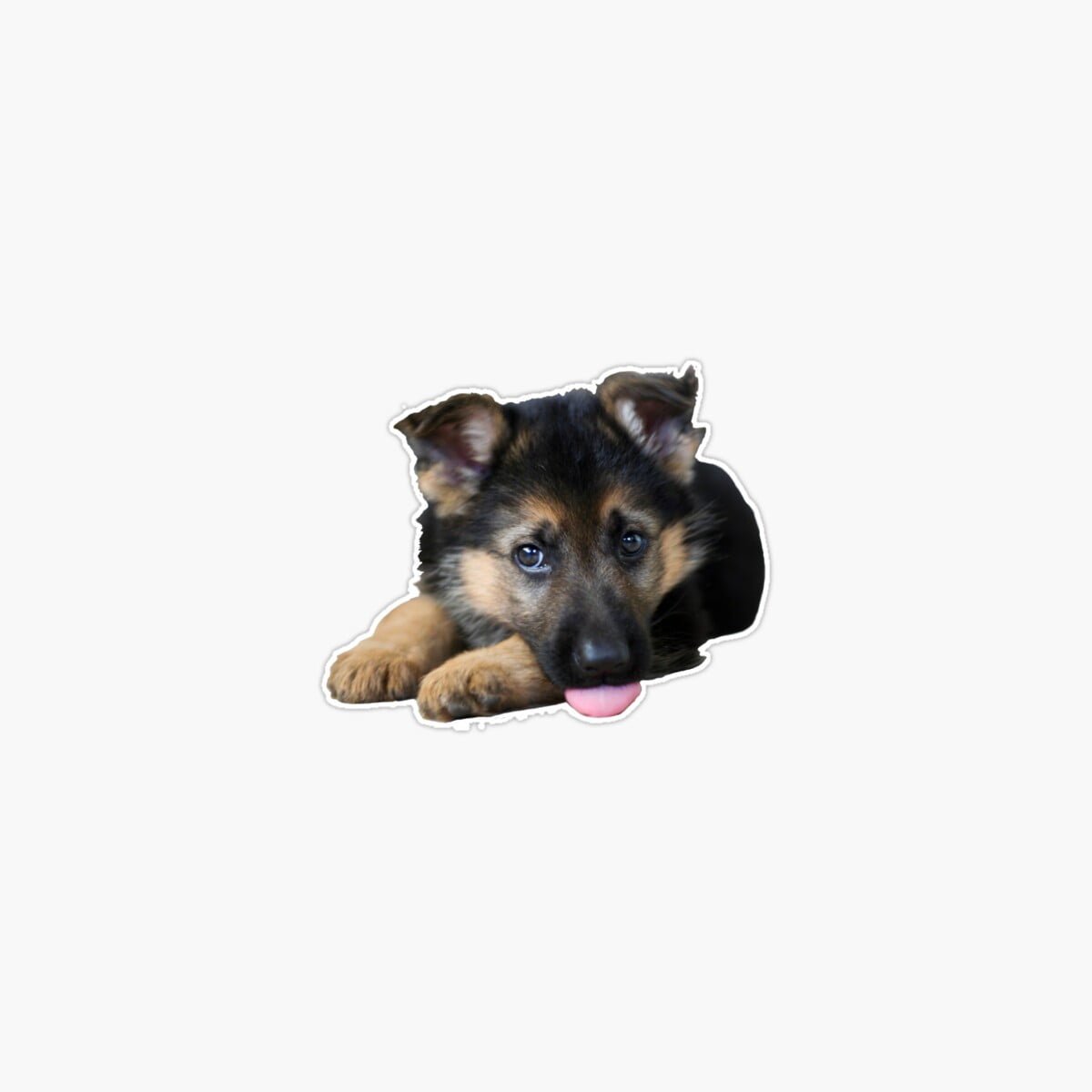 Onim German Shepherd Puppy Sticker Sticker, Phone Decal Water Bottle ...