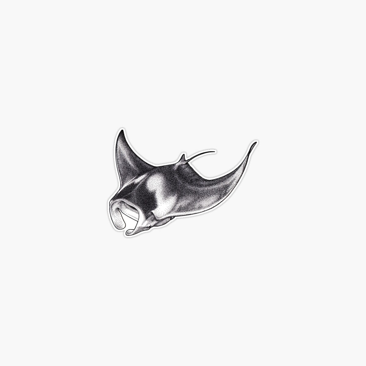 Onim Giant Oceanic Manta Ray Sticker, Phone Decal Water Bottle Stickers ...