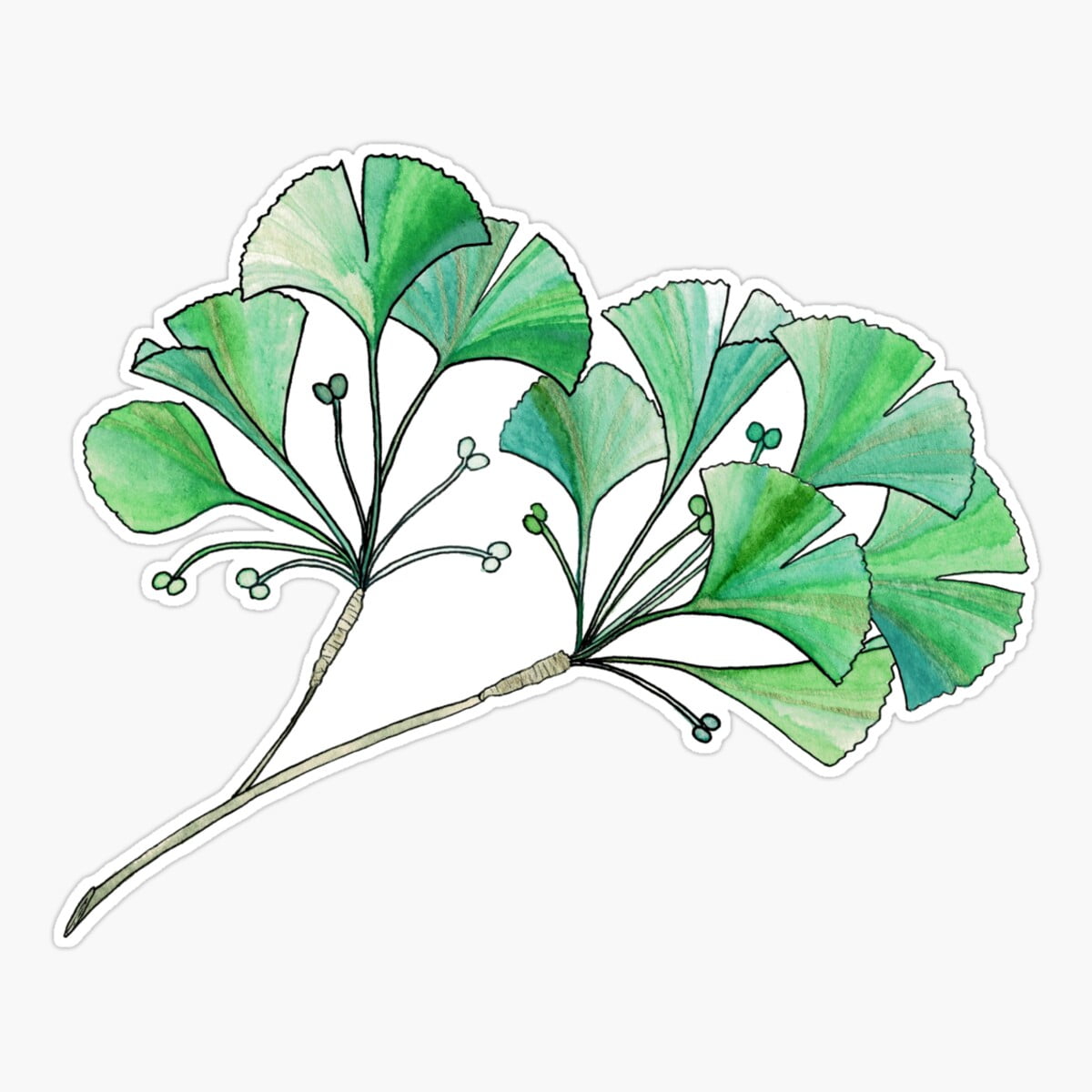 Onim Gingko Inked Watercolor Painting Sticker, Phone Decal Water Bottle ...