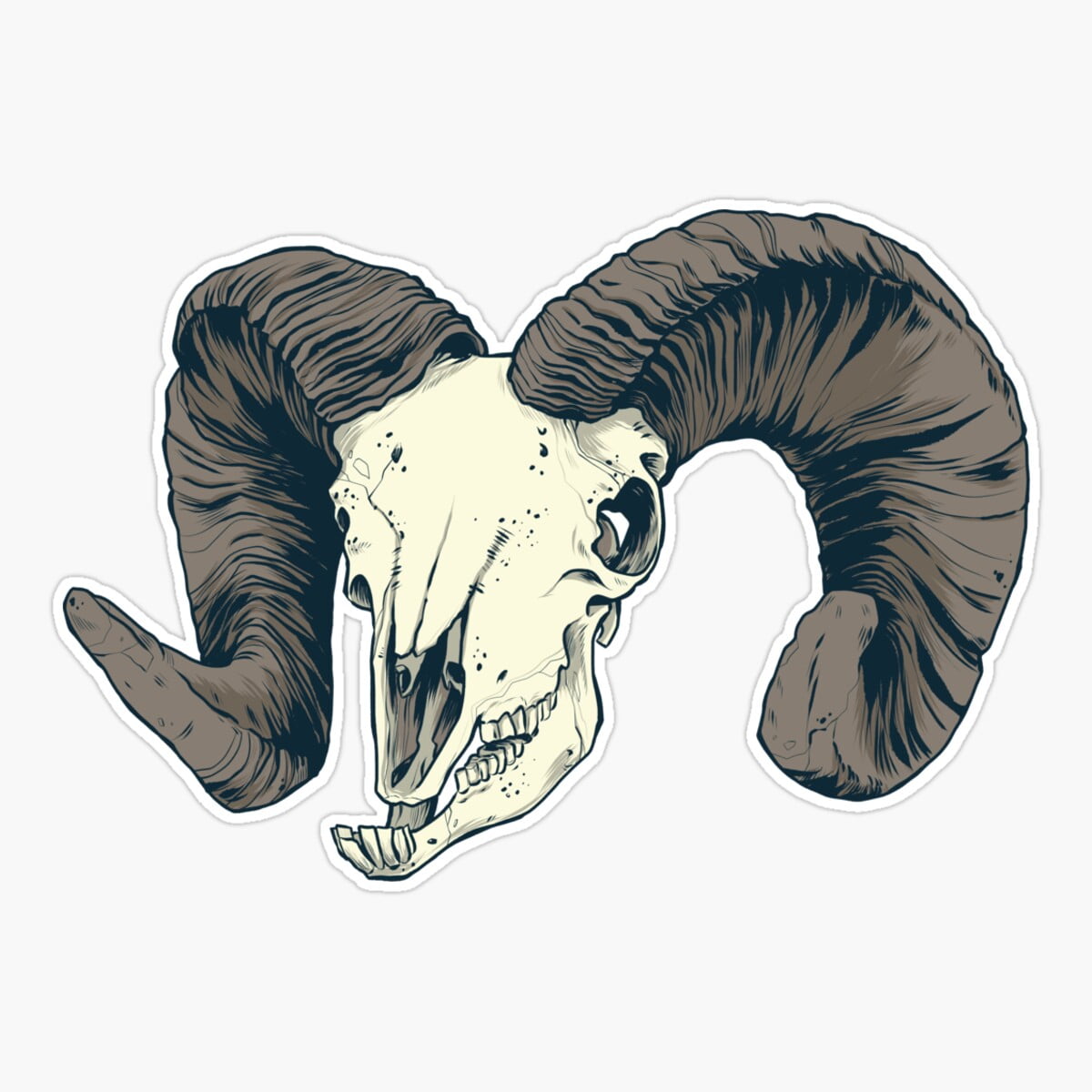 Onim Goat Skull, Full Color Sticker, Phone Decal Water Bottle Stickers ...