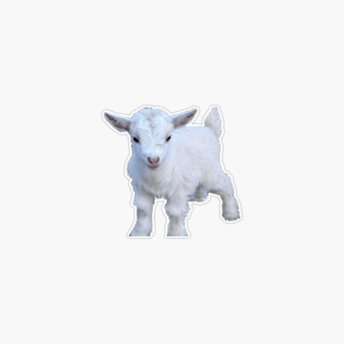 Onim Goat Sticker Sticker, Phone Decal Water Bottle Stickers Car Decals ...