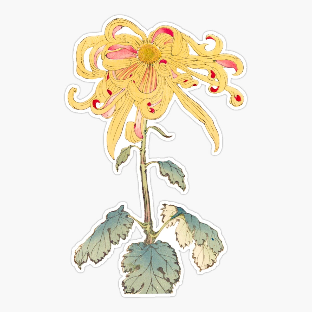 Onim Gold Chrysanthemum 2 - Hasegawa - Traditional Japanese Style ...