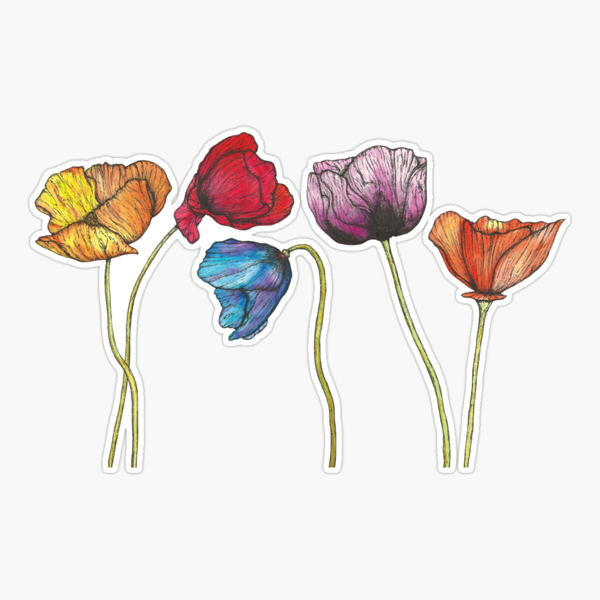 Onim Golden Eagle On The Wing Sticker, Phone Decal Water Bottle ...