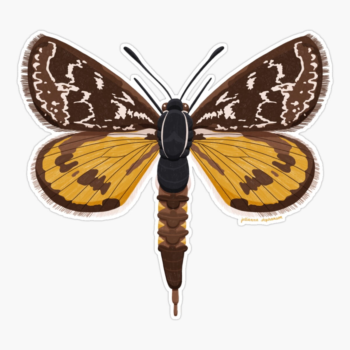 Onim Golden Sun Moth Sticker, Phone Decal Water Bottle Stickers Car ...