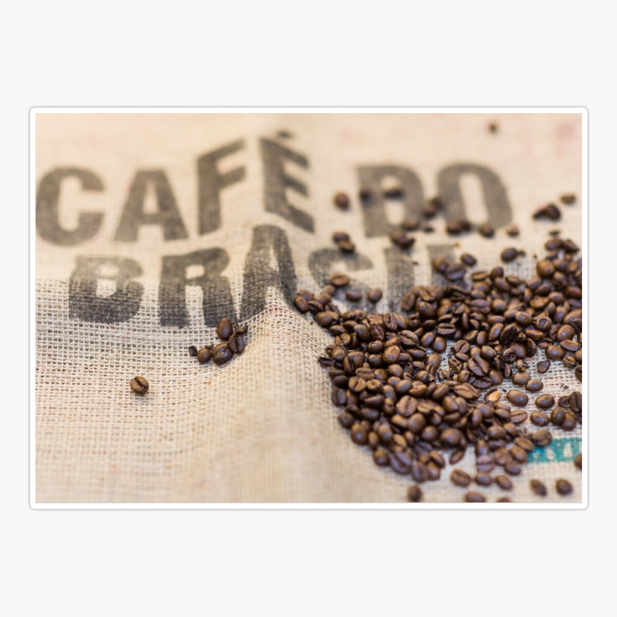 Onim Goose Bumps Sticker, Phone Decal Water Bottle Stickers Car Decals ...