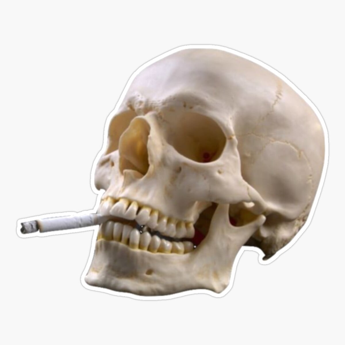 Onim Gothic Cigarette Skull Sticker, Phone Decal Water Bottle Stickers ...