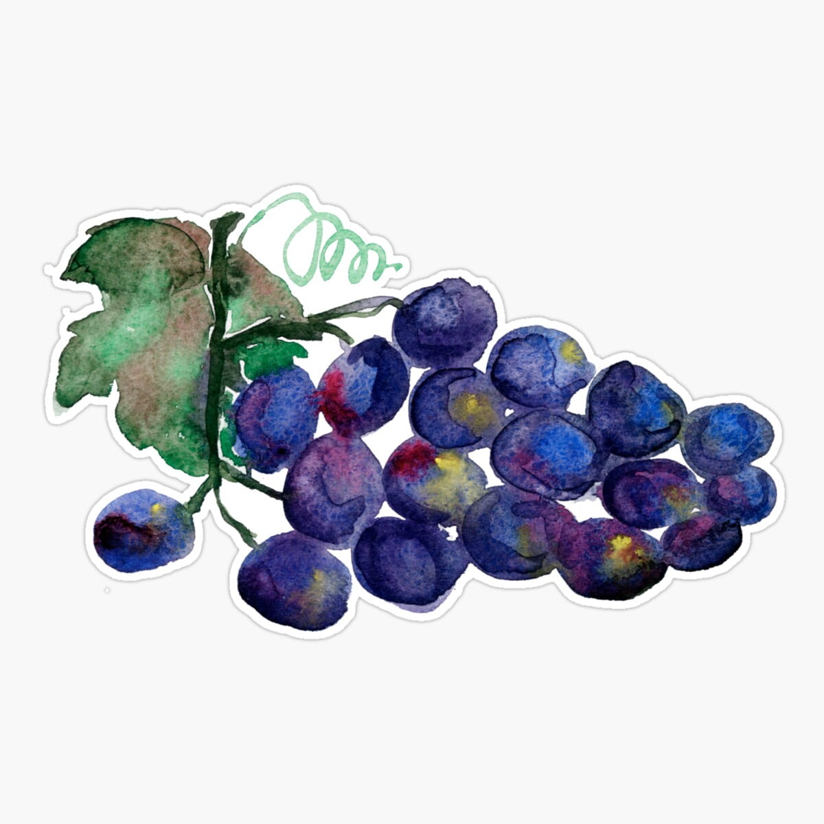 Onim Grapes Sticker, Phone Decal Water Bottle Stickers Car Decals ...