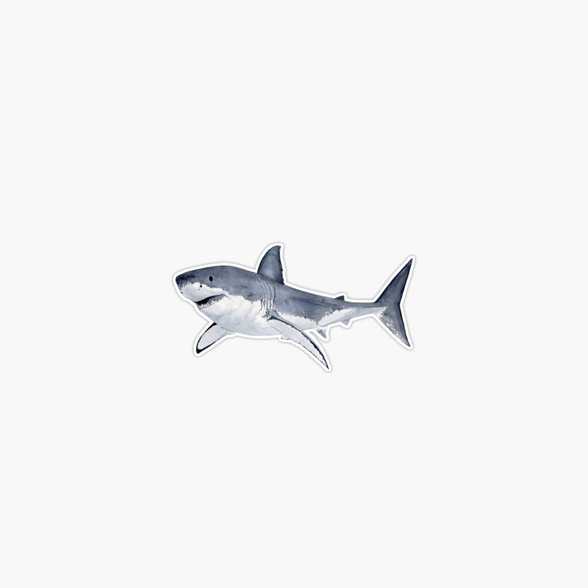 Onim Great White Shark Ii Sticker, Phone Decal Water Bottle Stickers ...